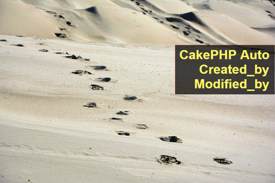 CakePHP Automatic created_by and modified_by - Coding Sips